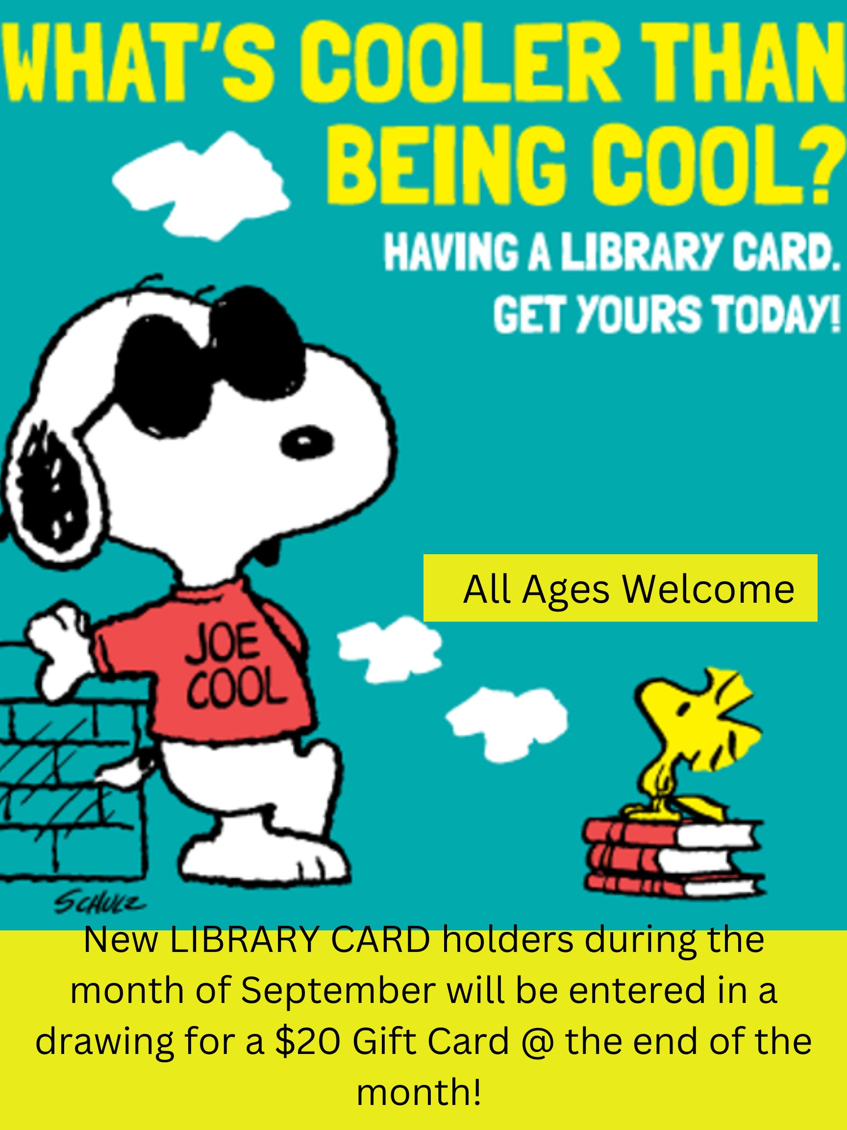 Texas County Library – 117 W. Walnut Street, Houston, MO. 65483 | 417 ...